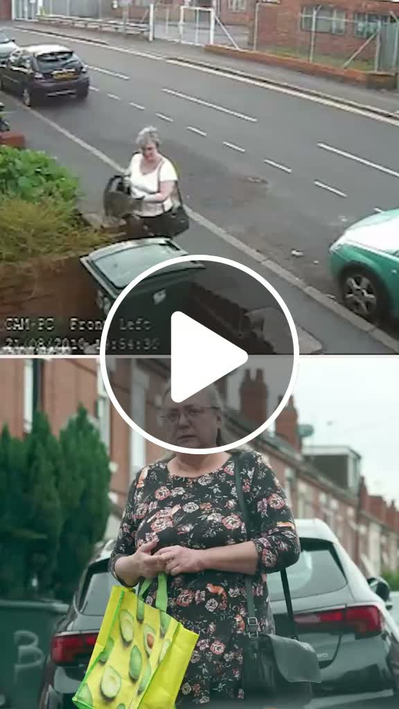 'Cat Bin Lady' still shunned 17 years after viral cat bin video - NewsBreak