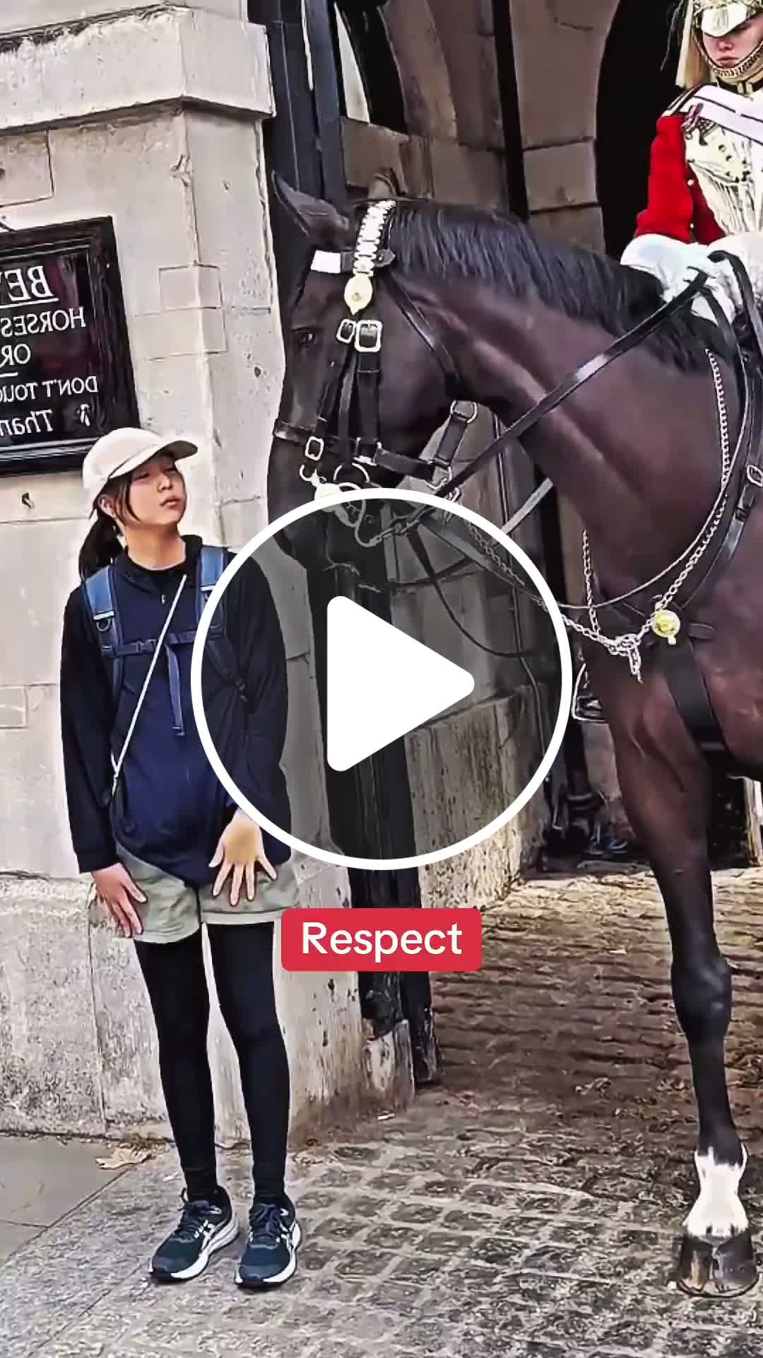 respect #kingsguard #peterellis #horseguardsparade #thekingguard # ...