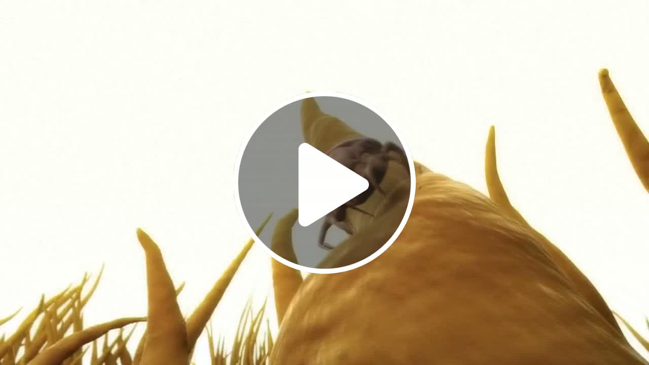 After a lengthy hiatus North Platte Board of Health convenes over bed ...