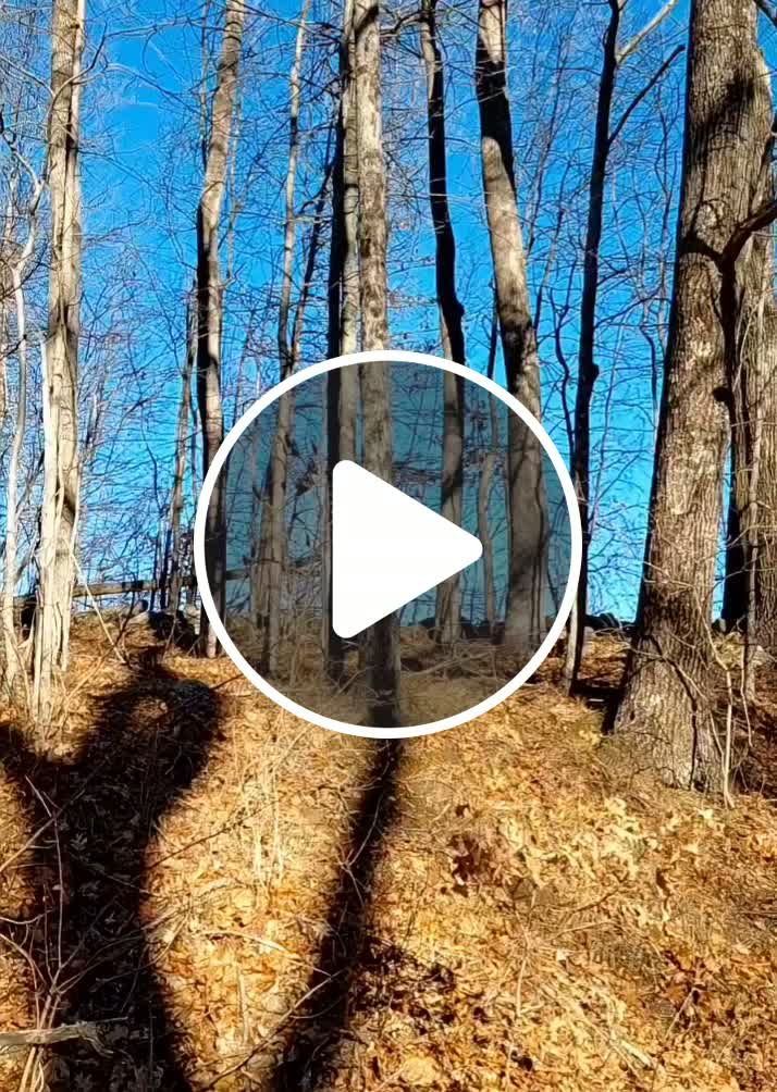 MAGA pastor revealed that 19-year-old Barron Trump is 'very close' to ...