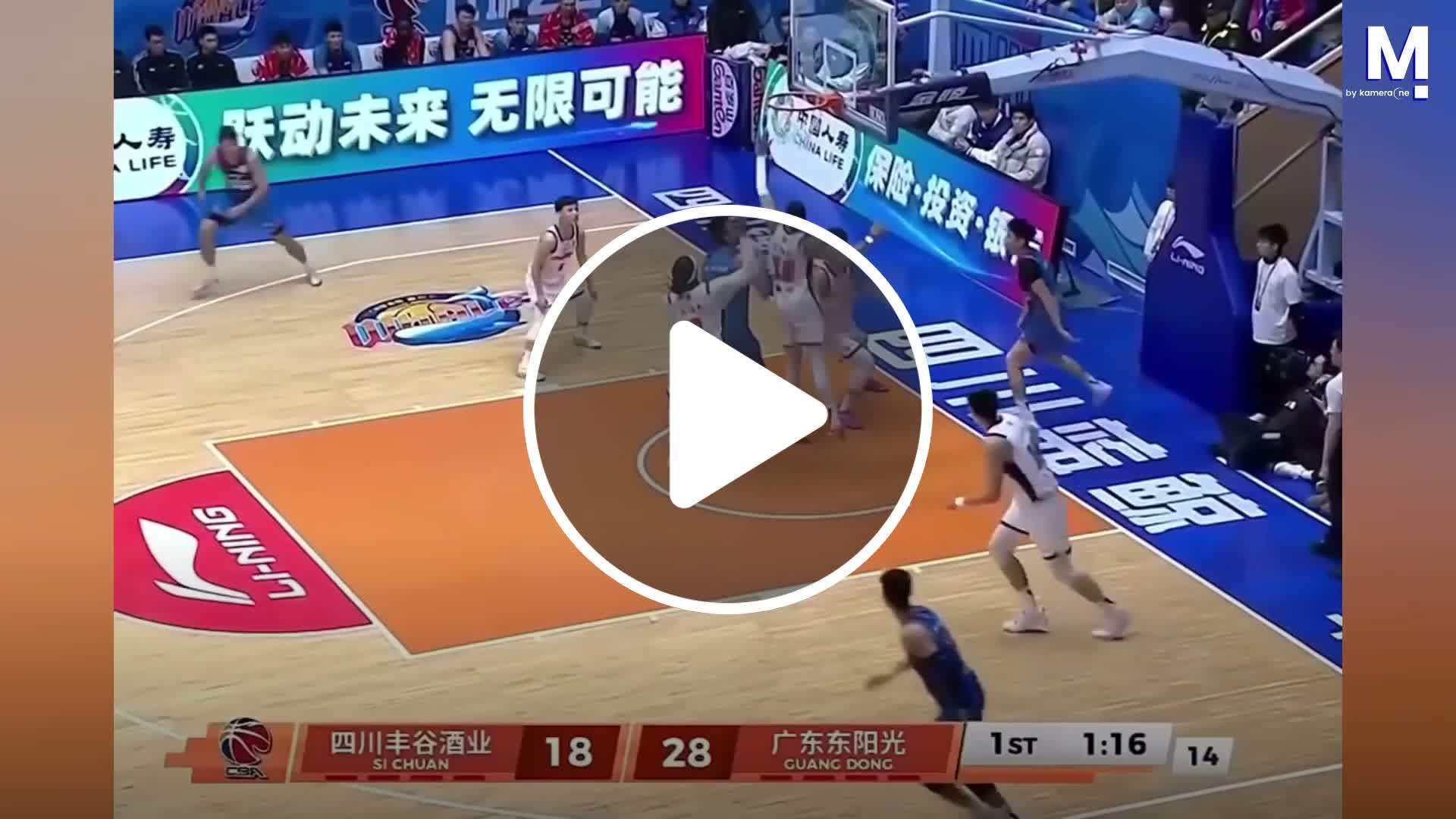 Stray cat steals the spotlight during pro basketball game - NewsBreak