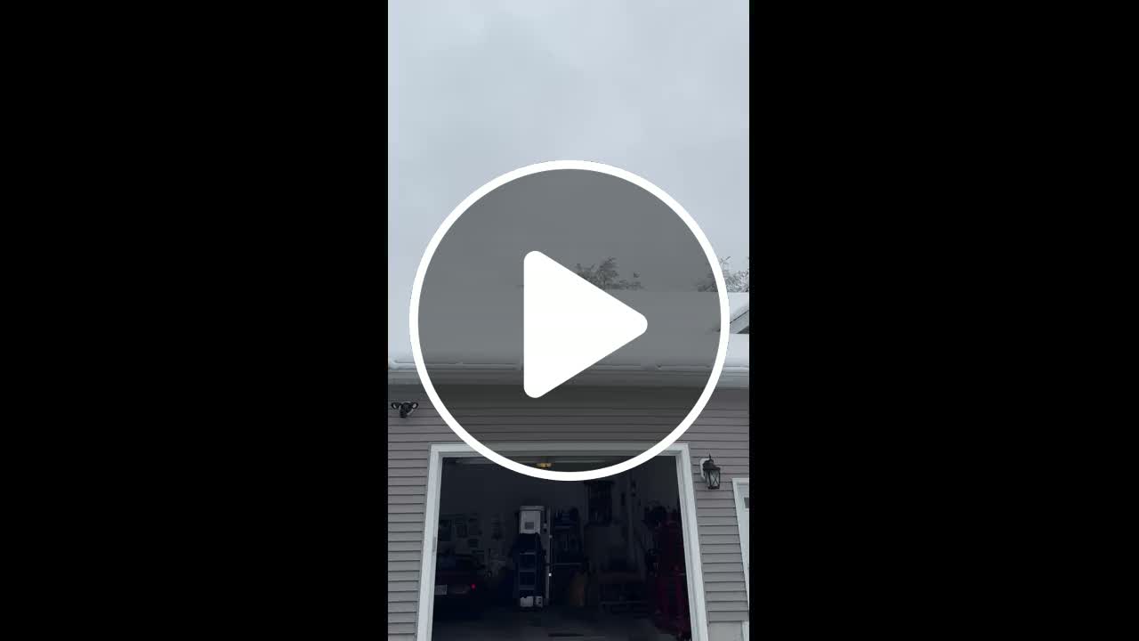 Duck Slides Down Snowy Roof - NewsBreak