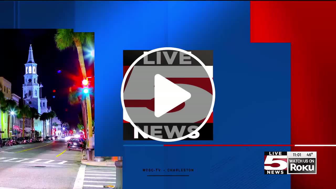 VIDEO: Charleston coalition calls for accountability after 4-year-old’s ...