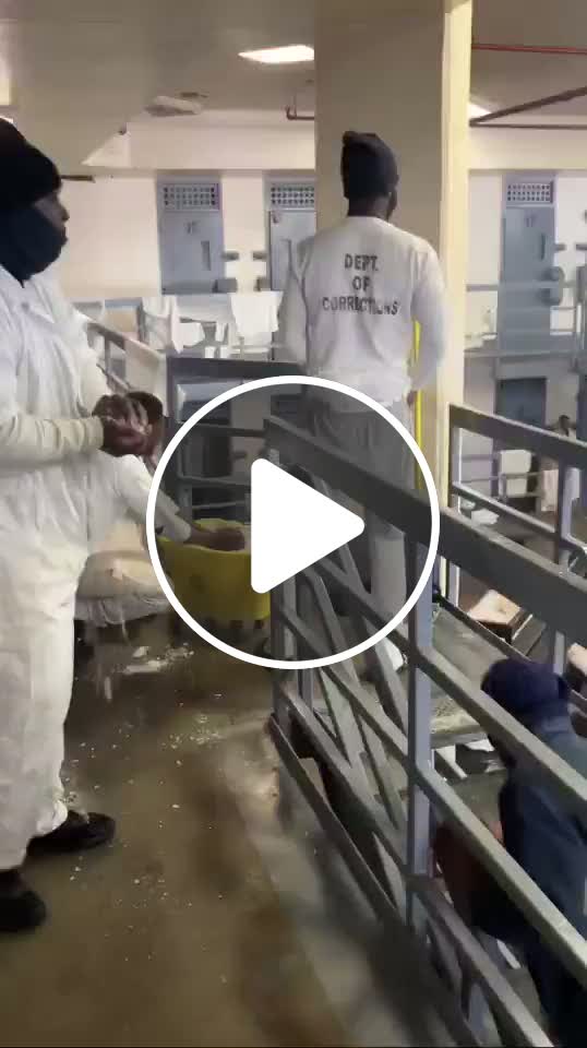 Men in prison are claiming they’ve never had this much fun in their ...