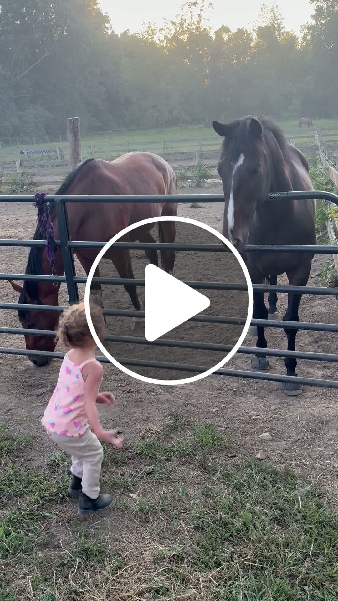 Heartwarming video shows horse nodding in encouragement as child dances ...