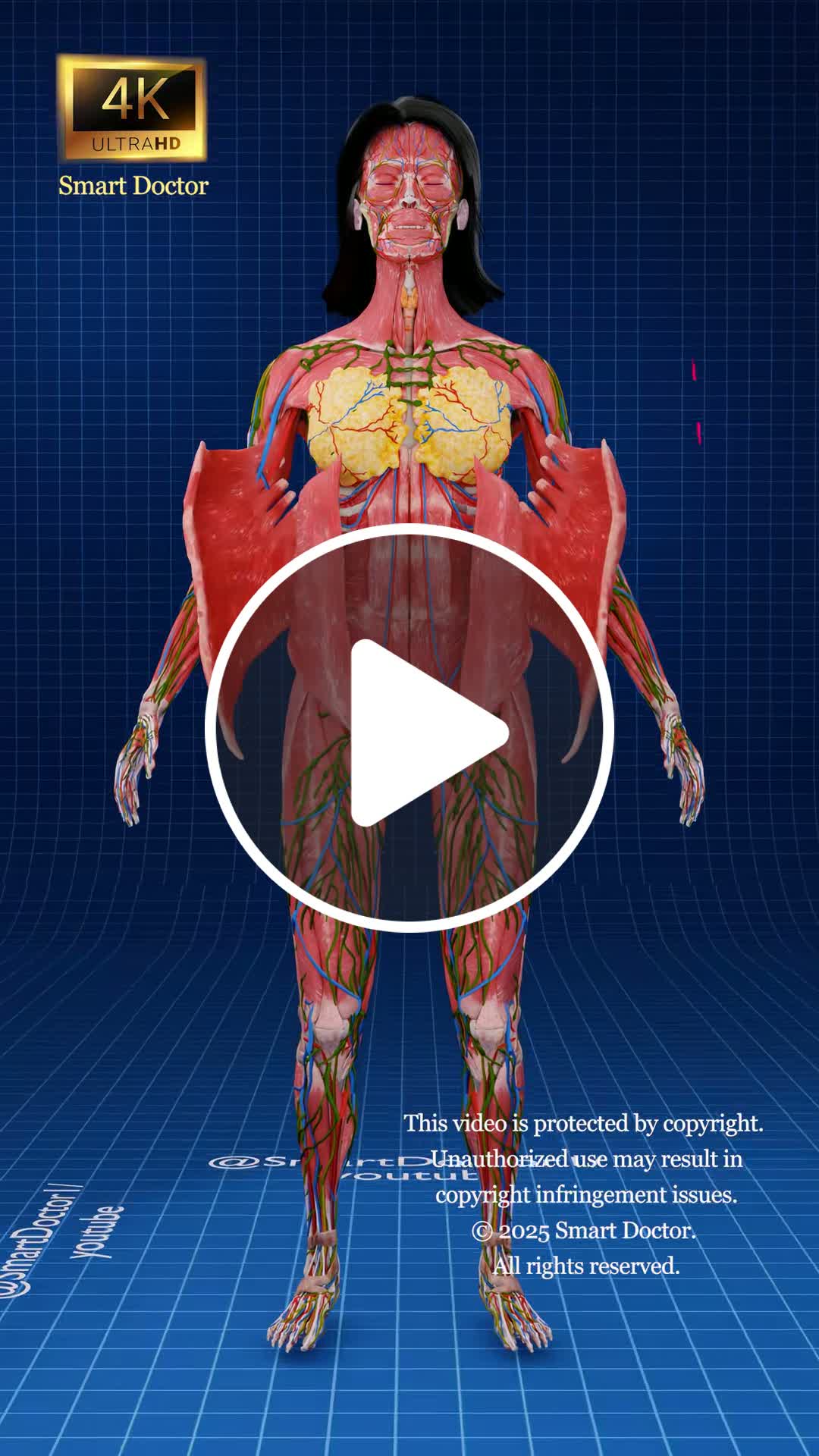 Dive deep into your body | Female Anatomy ♀️ . . The human heart is a ...