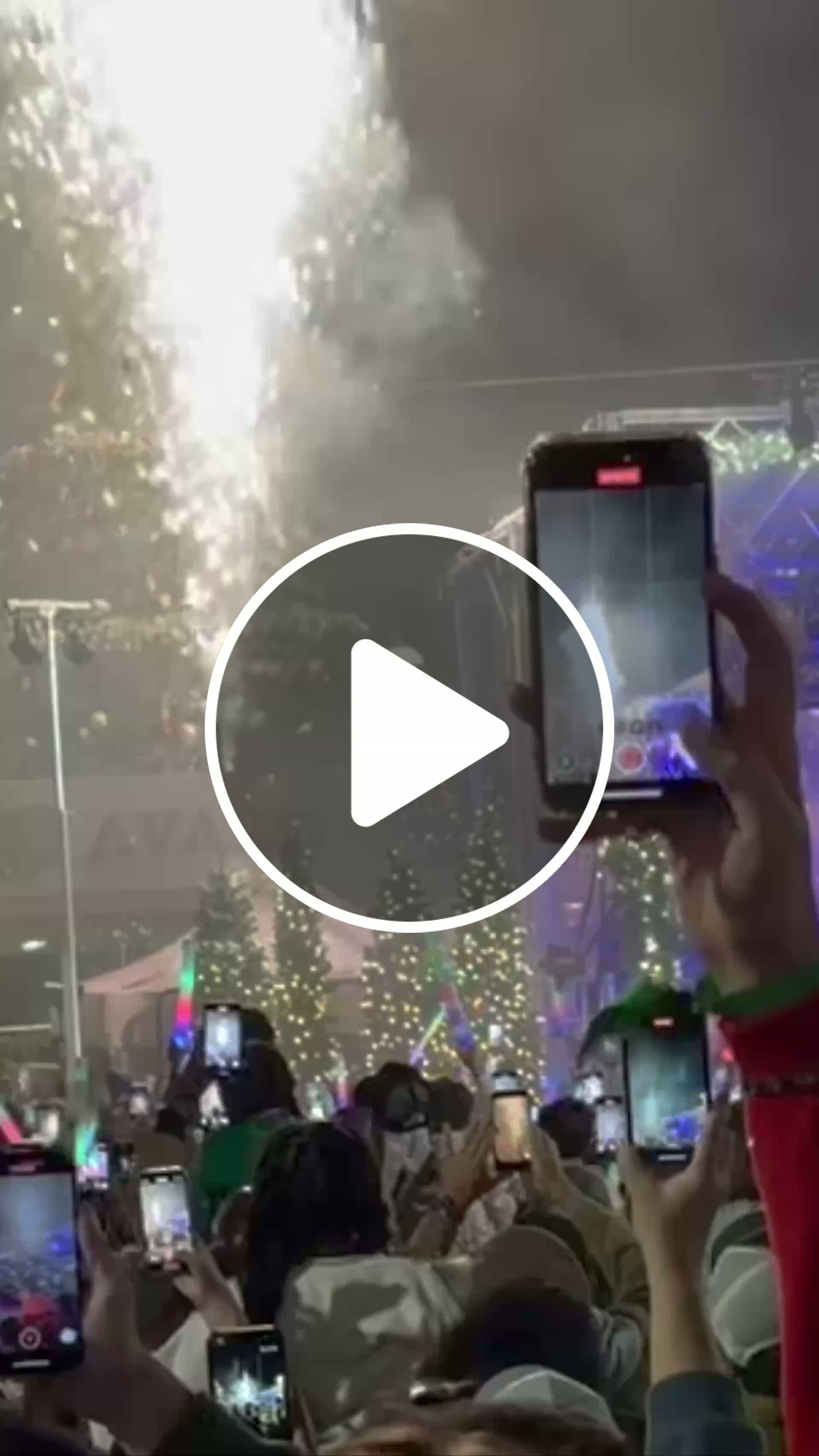 Big reveal at Avalon Tree Lighting - NewsBreak