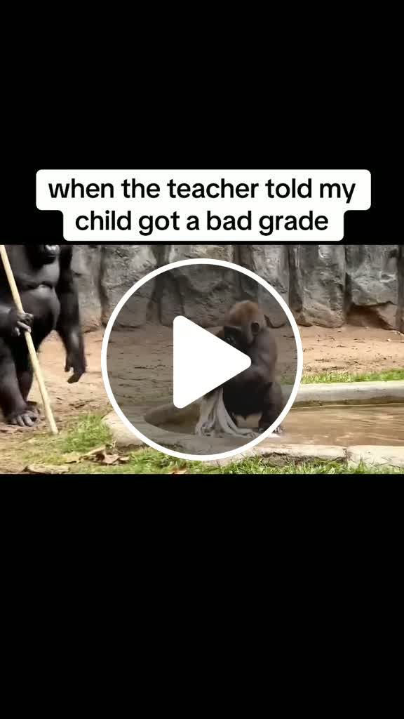 When the teacher told my child got a bad grade...☹️ - NewsBreak
