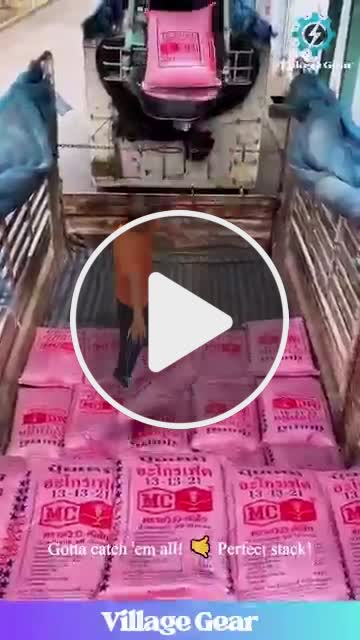 Human Crane Alert! 🏗️ This Guy's Back is - NewsBreak