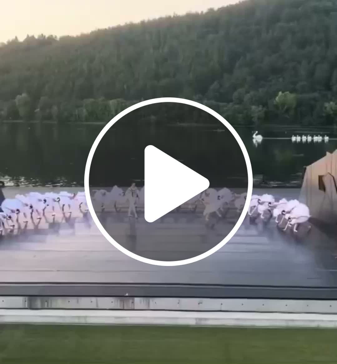 Dancers perform to the classic "Swan Lake" by Tchaikovsky - NewsBreak