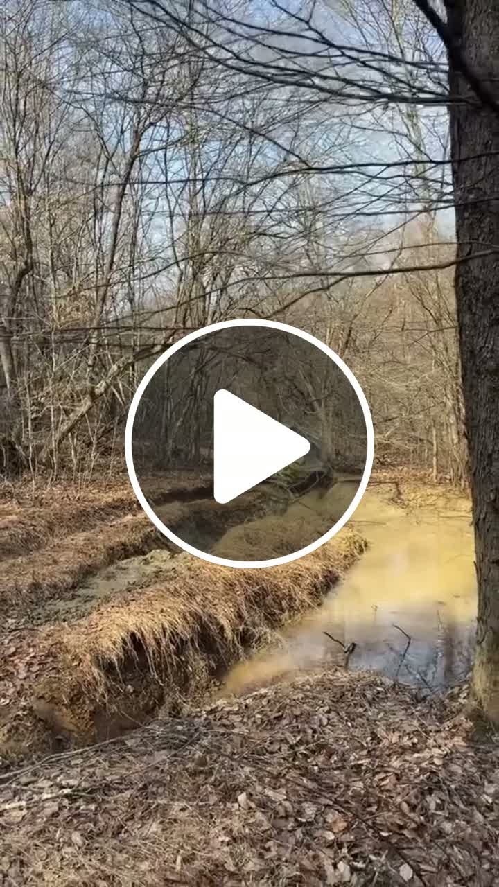 Ilhan Omar Says Threats, Attacks Against Her Wouldn't Have Happened 'If ...