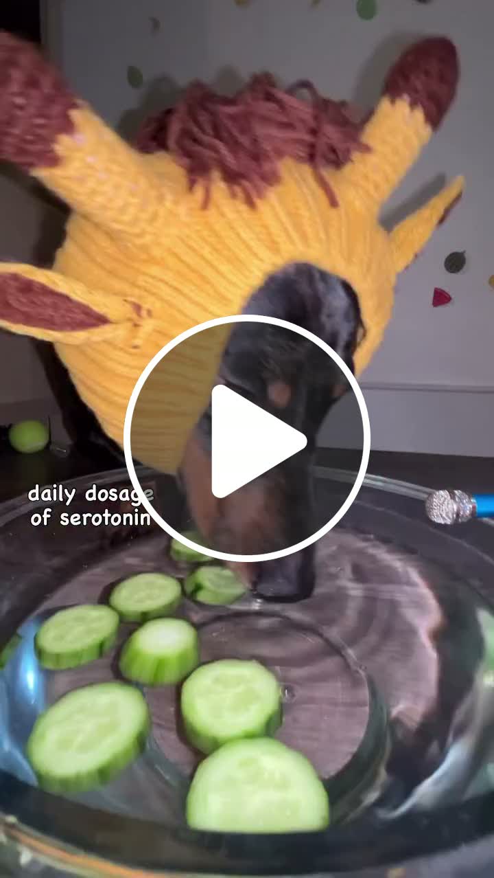 Minifridge recall expands to almost 1 million units over fire hazard ...