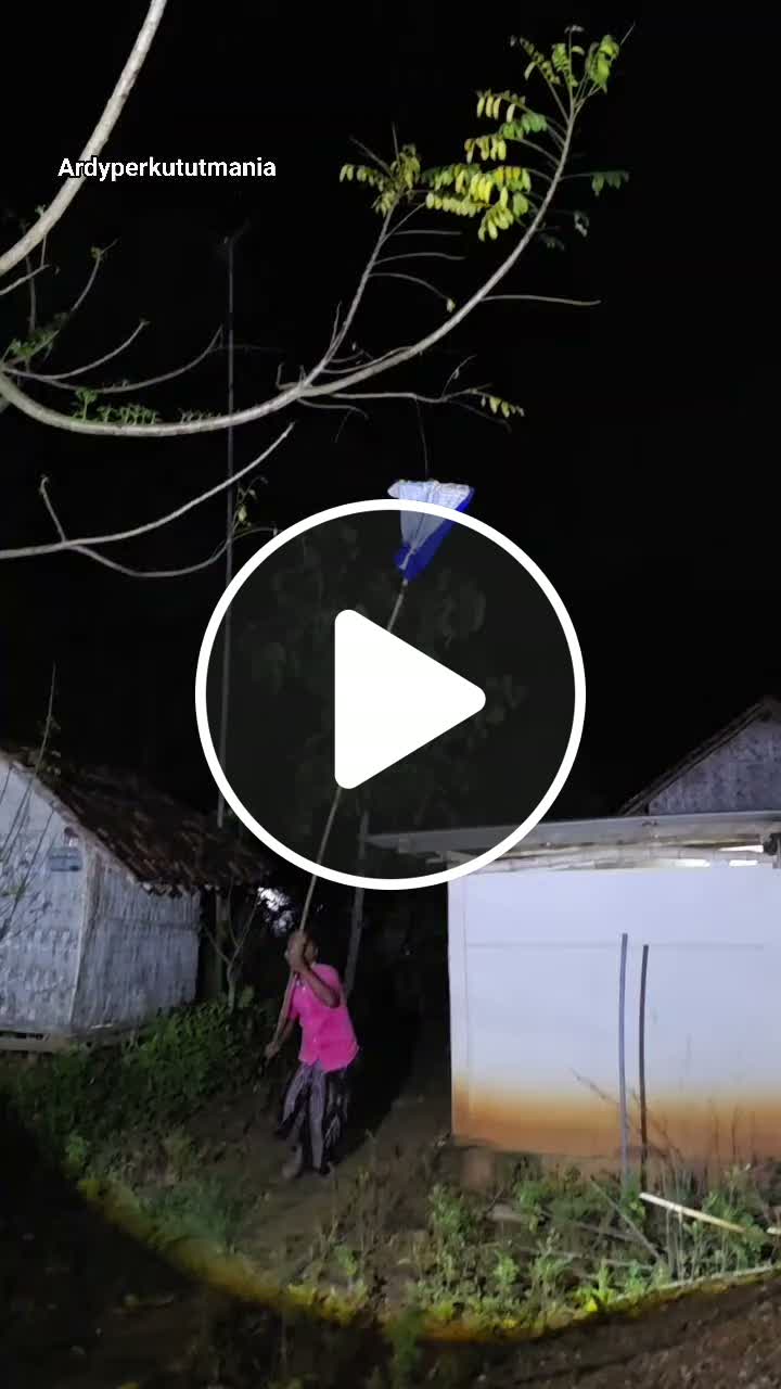 Caught on target!! - NewsBreak