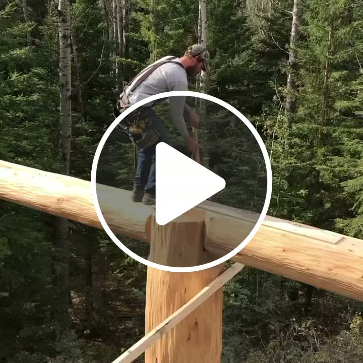 Trump Gives Telling Update to Marriage With Melania After Report They ...