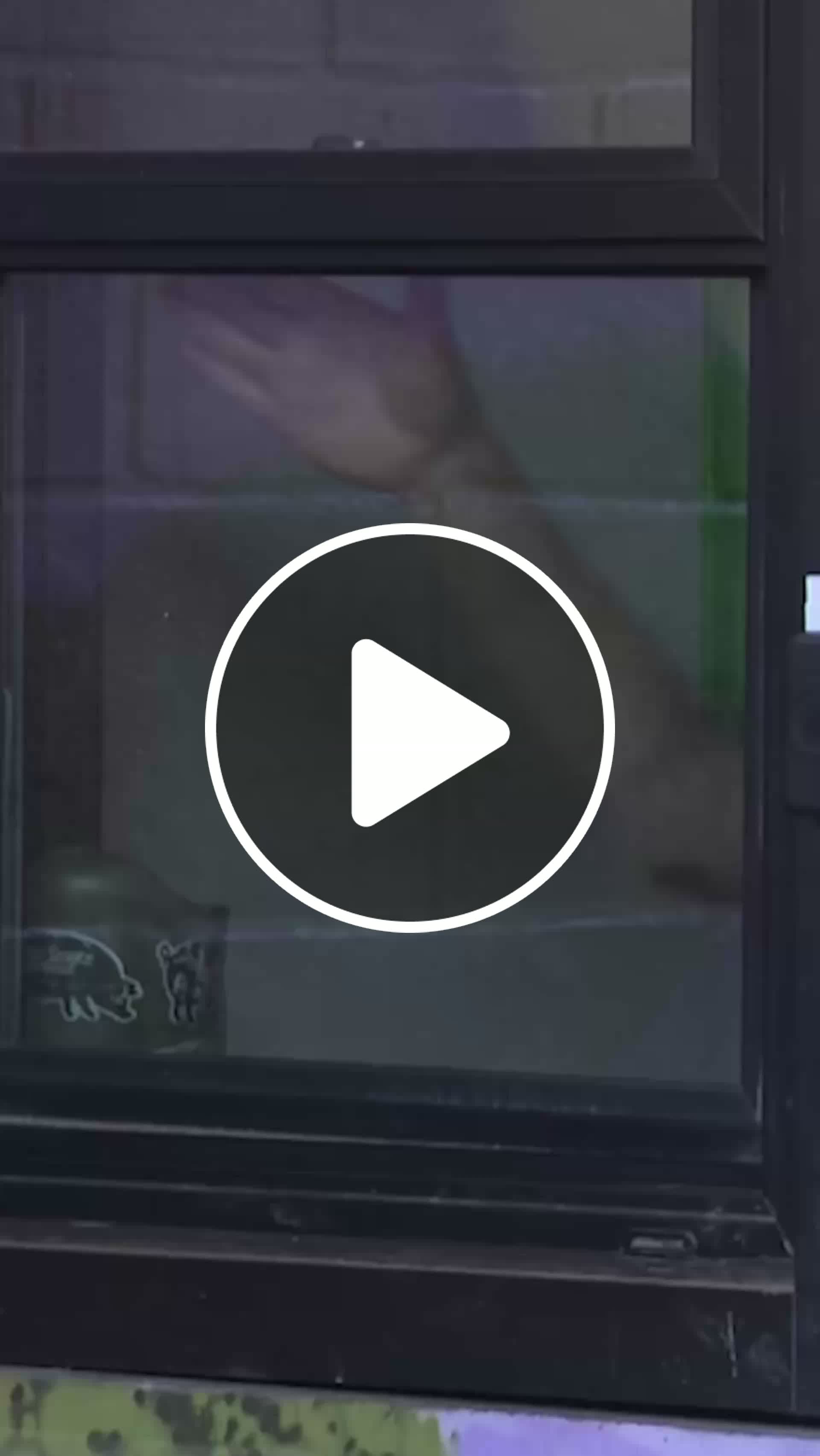 East Austin barbecue spot gets broken into twice in one week - NewsBreak