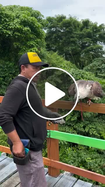 The truth they didn’t want you to hear 📢 - NewsBreak