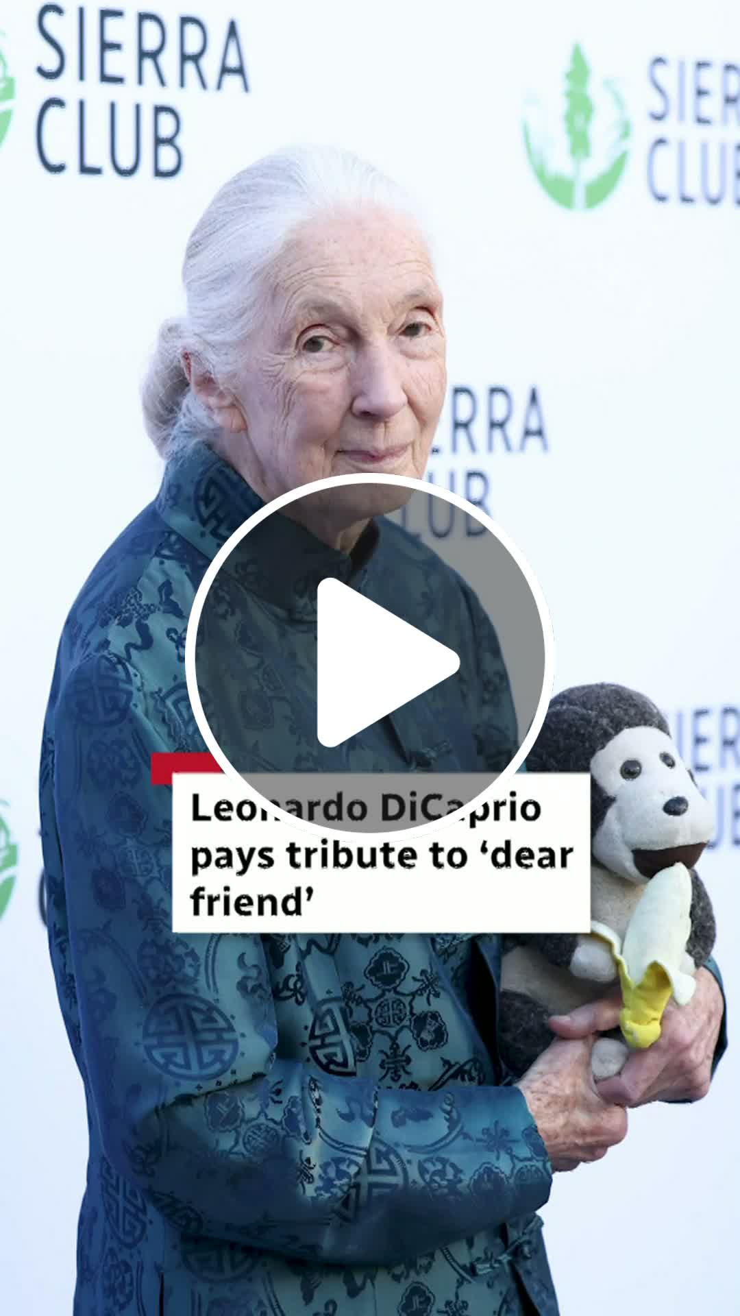 Leonardo DiCaprio pays tribute to ‘dear friend’ - NewsBreak