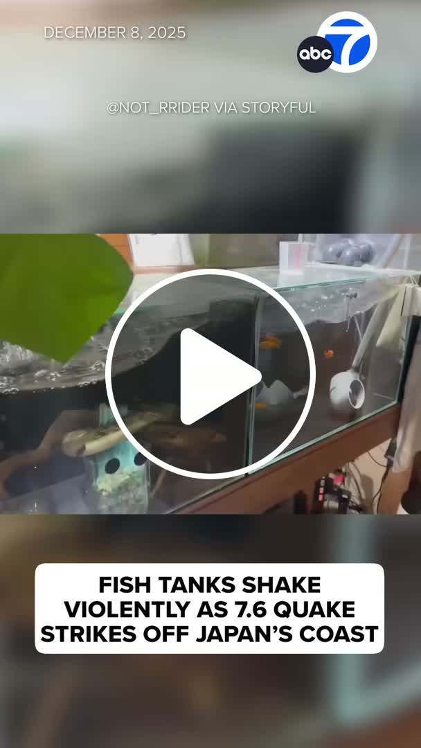 Fish tanks shake violently as 7.6 earthquake strikes Japan - NewsBreak