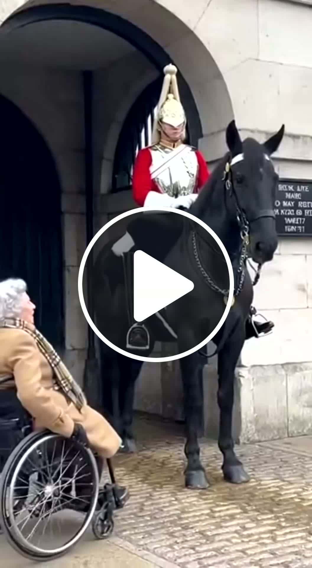 What a fright! A tiger charged right at me! #funny #curious # ...