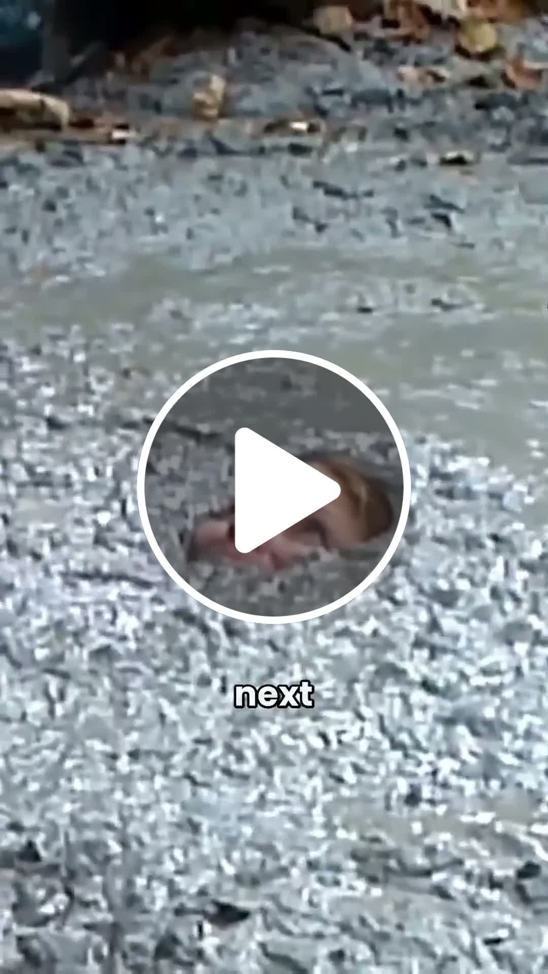 How To Survive Quicksand - NewsBreak
