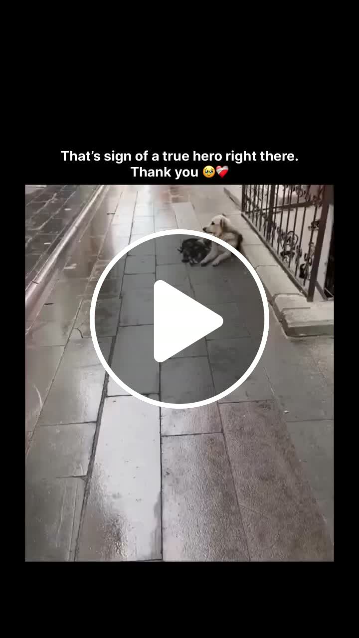 True Hero - NewsBreak