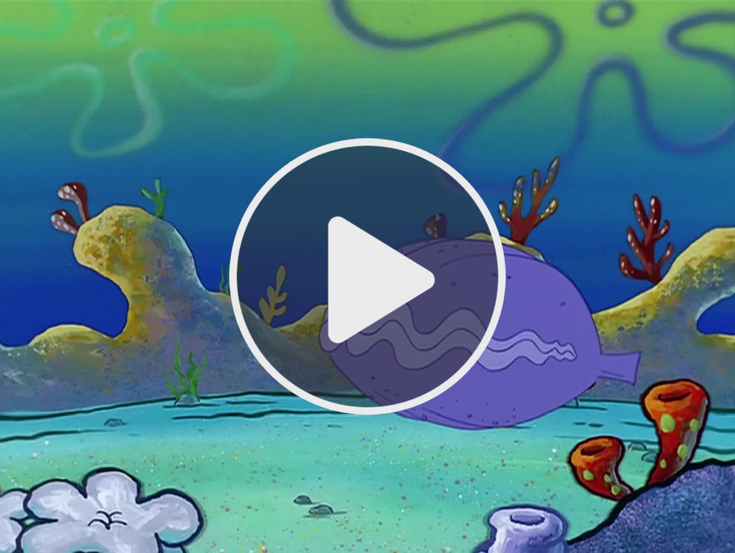 SpongeBob SquarePants Episode 1 - 008 #spongebob - NewsBreak