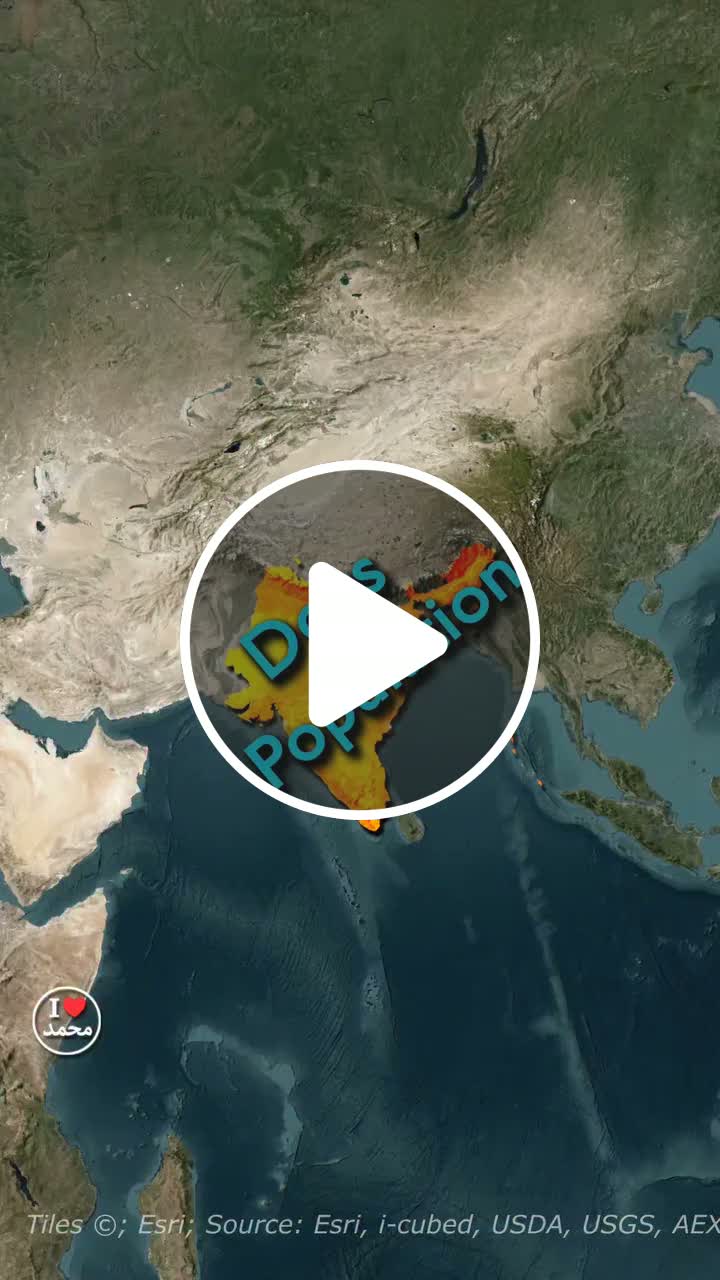 Dogs Population facts india dog map reel - NewsBreak