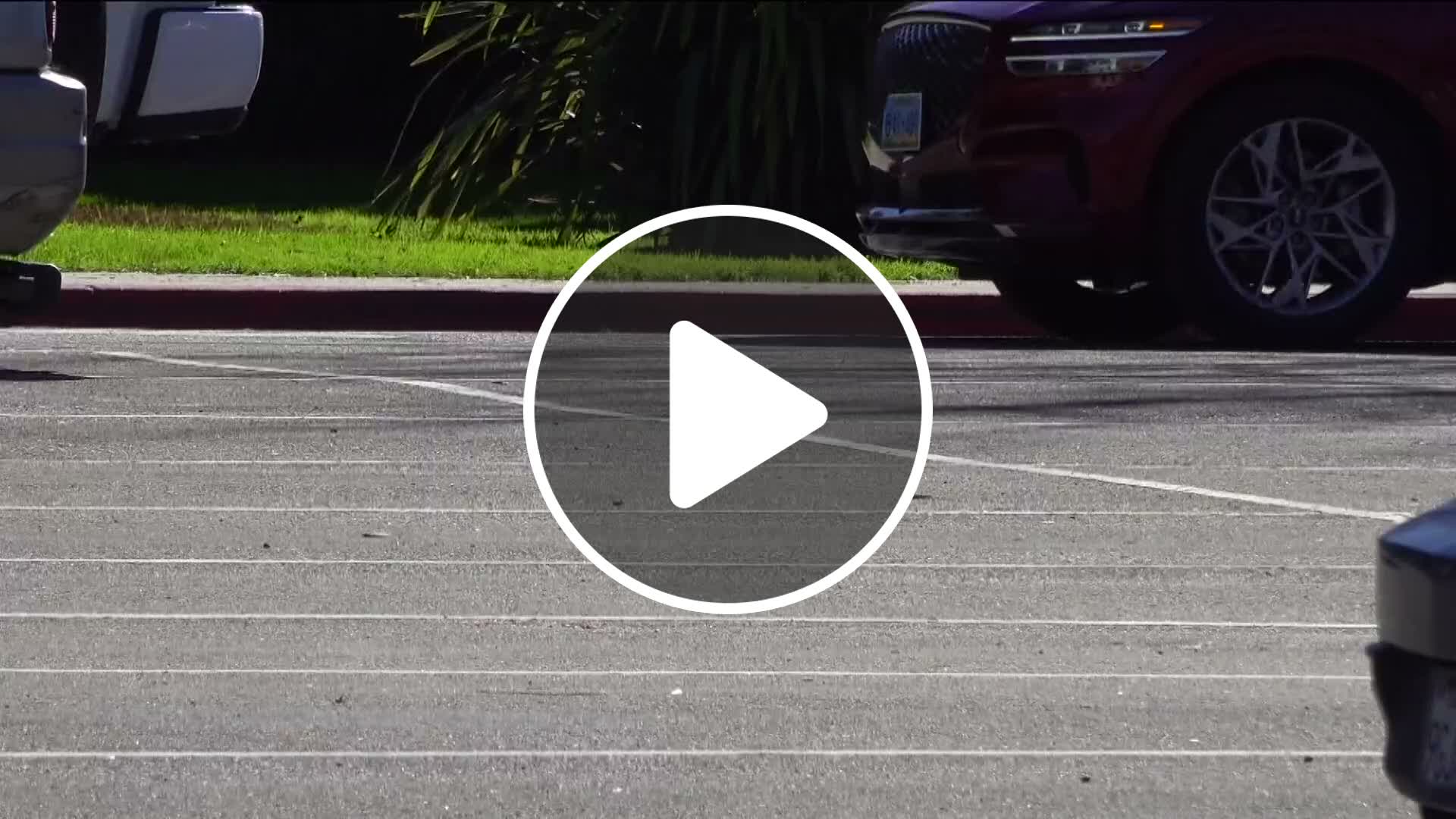 No line at Comic-Con Museum on Free Tuesday in Balboa Park, one week ...