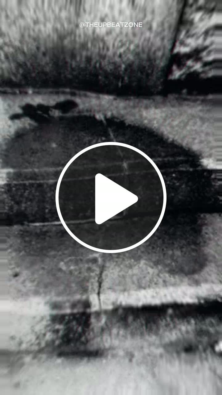 #MyFirstScoopz How Pipe Relining Work 😟 (EXPLAINED) #explain - NewsBreak