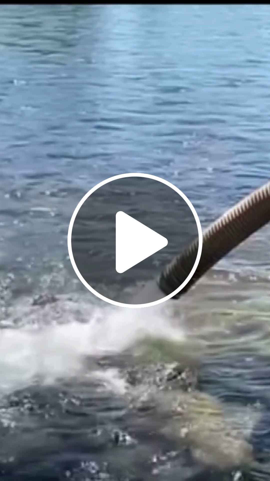 More than 10k rainbow trout to hit Idaho waters in February - NewsBreak