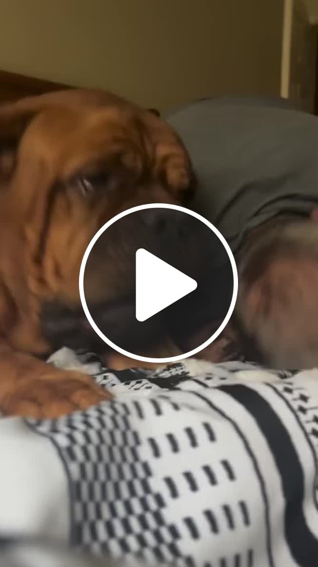 ARE YOU MY BEST FRIEND.How can you not wake up happy ️😍💪 - NewsBreak