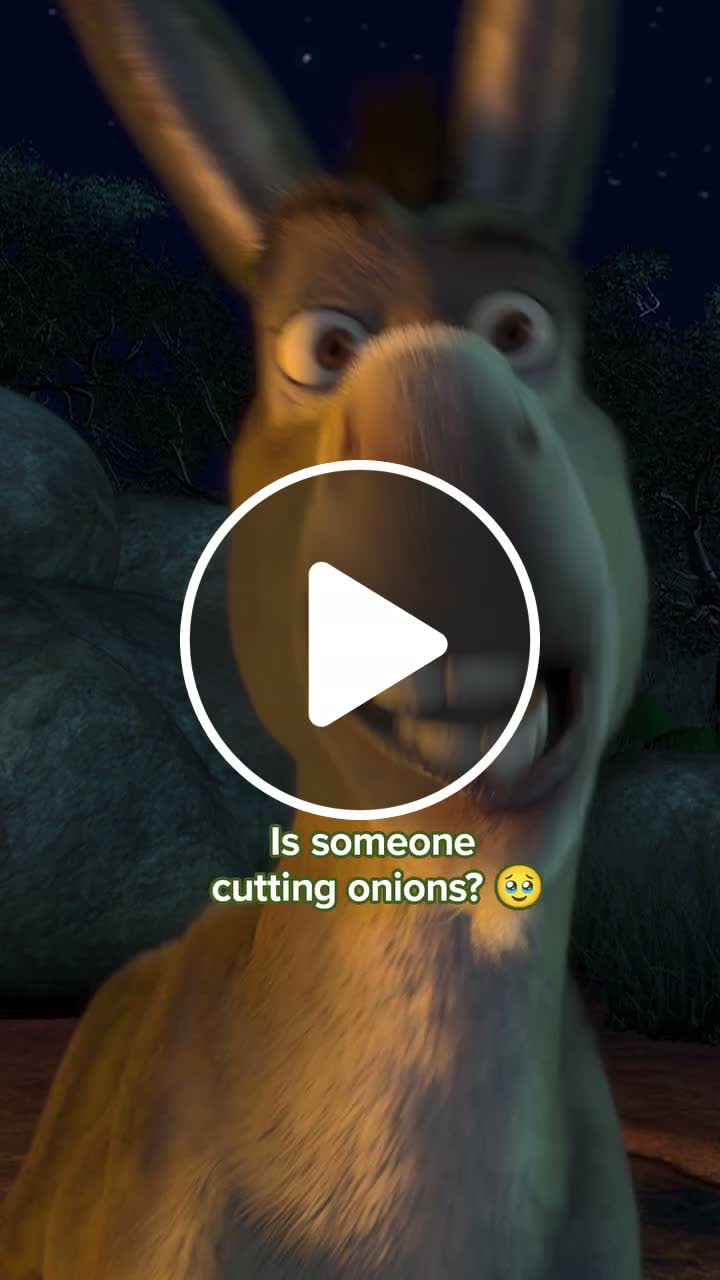 is someone cutting onions - NewsBreak