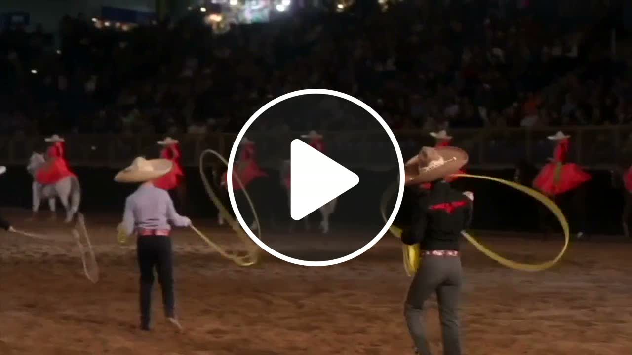 Erratic winter nudging Colorado plants and insects out of their normal ...