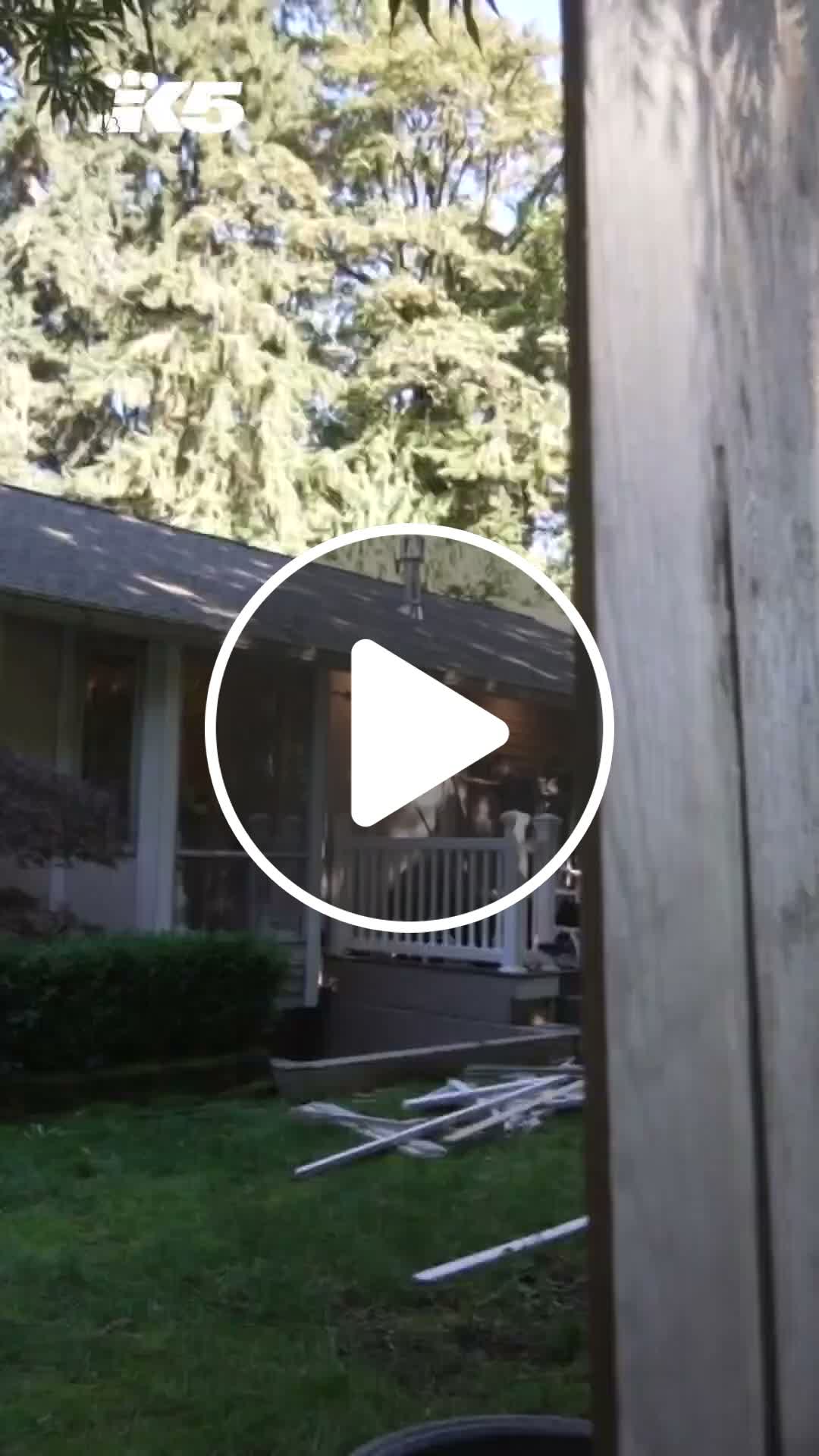 Man charged in fatal shooting at Seattle hookah lounge - NewsBreak