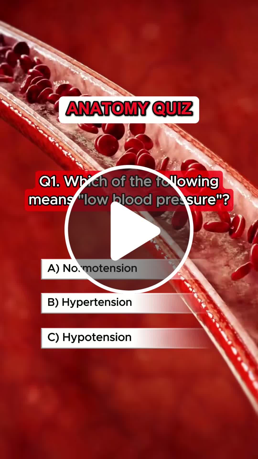 Daily Anatomy Quiz - Can you get 6/6? #anatomy #anatomyclass # ...