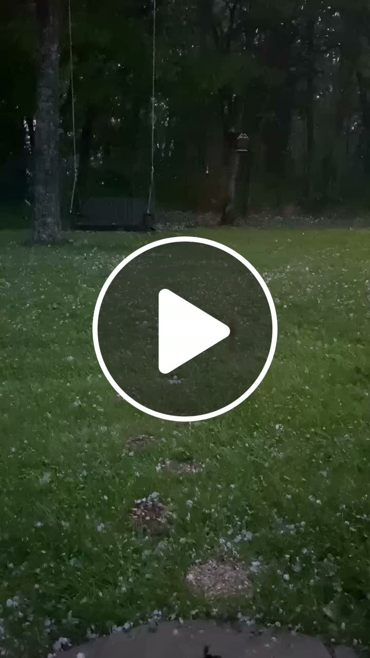 First Alert Weather Day: KY3 viewer captures large hail falling in ...