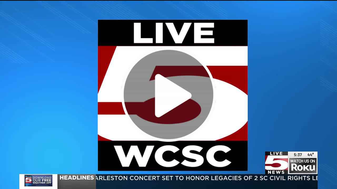 VIDEO: Music spreads hope in MUSC hospital lobby - NewsBreak