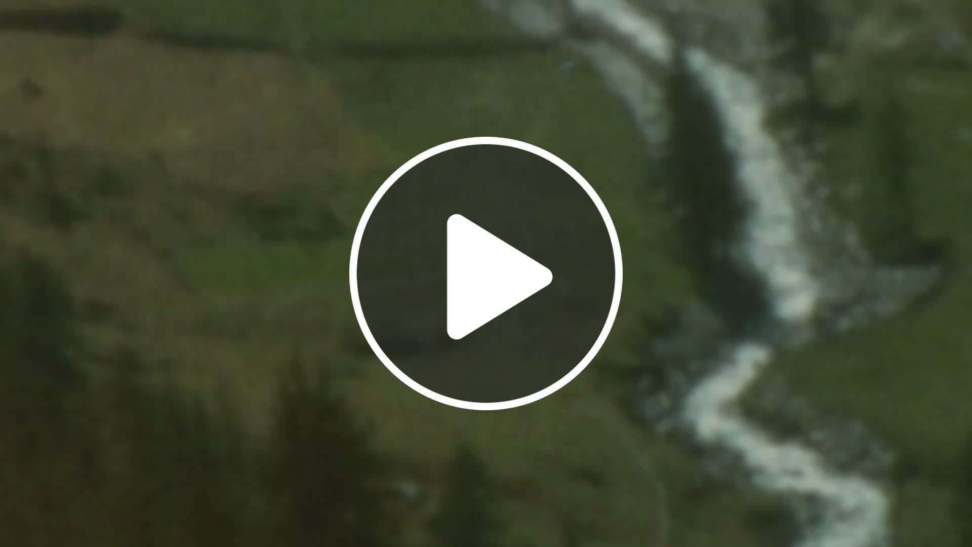 Imprinted - Official Reveal Trailer - NewsBreak