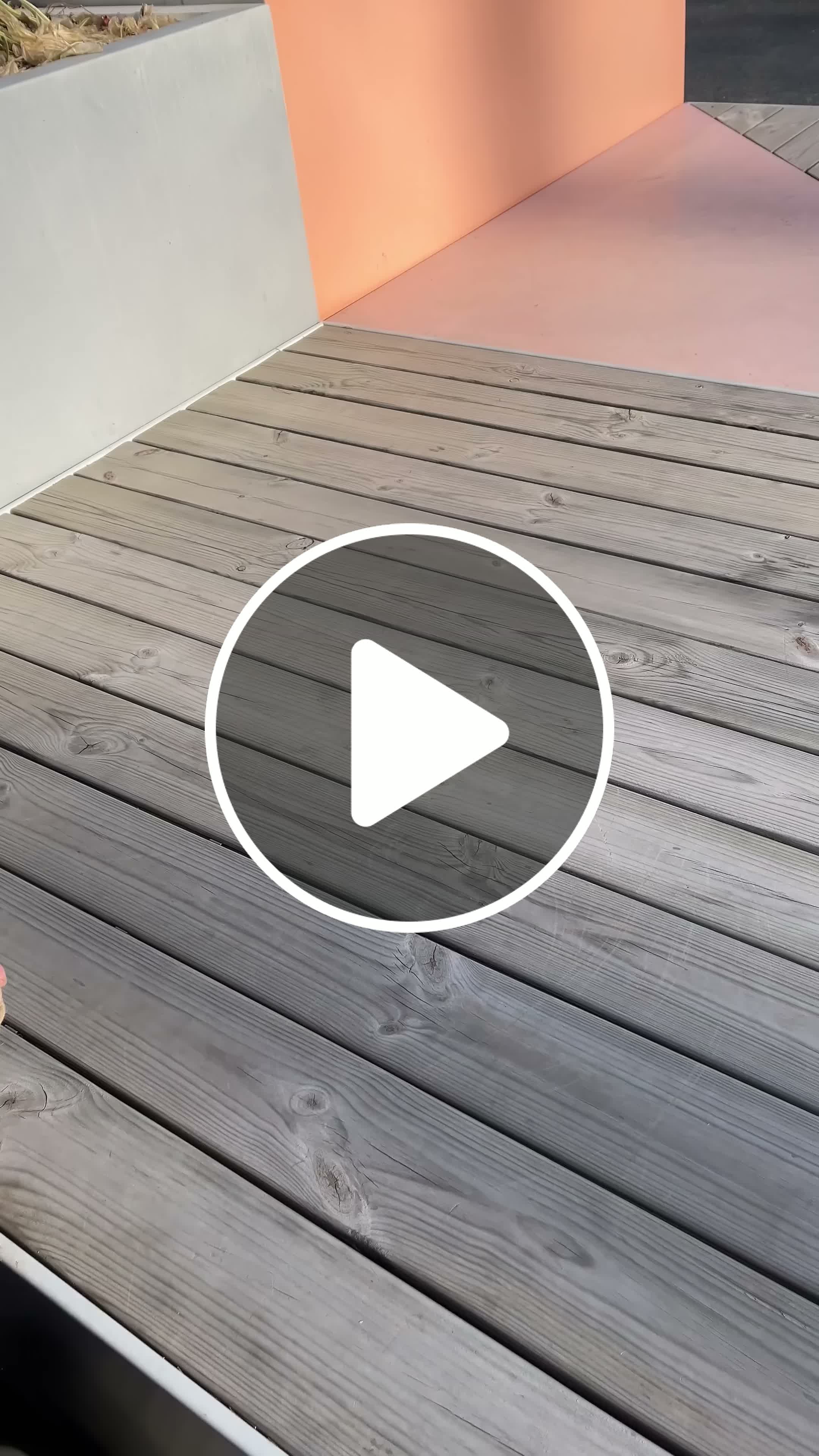 How Did That Rope Come Off You Won't Believe It! - NewsBreak