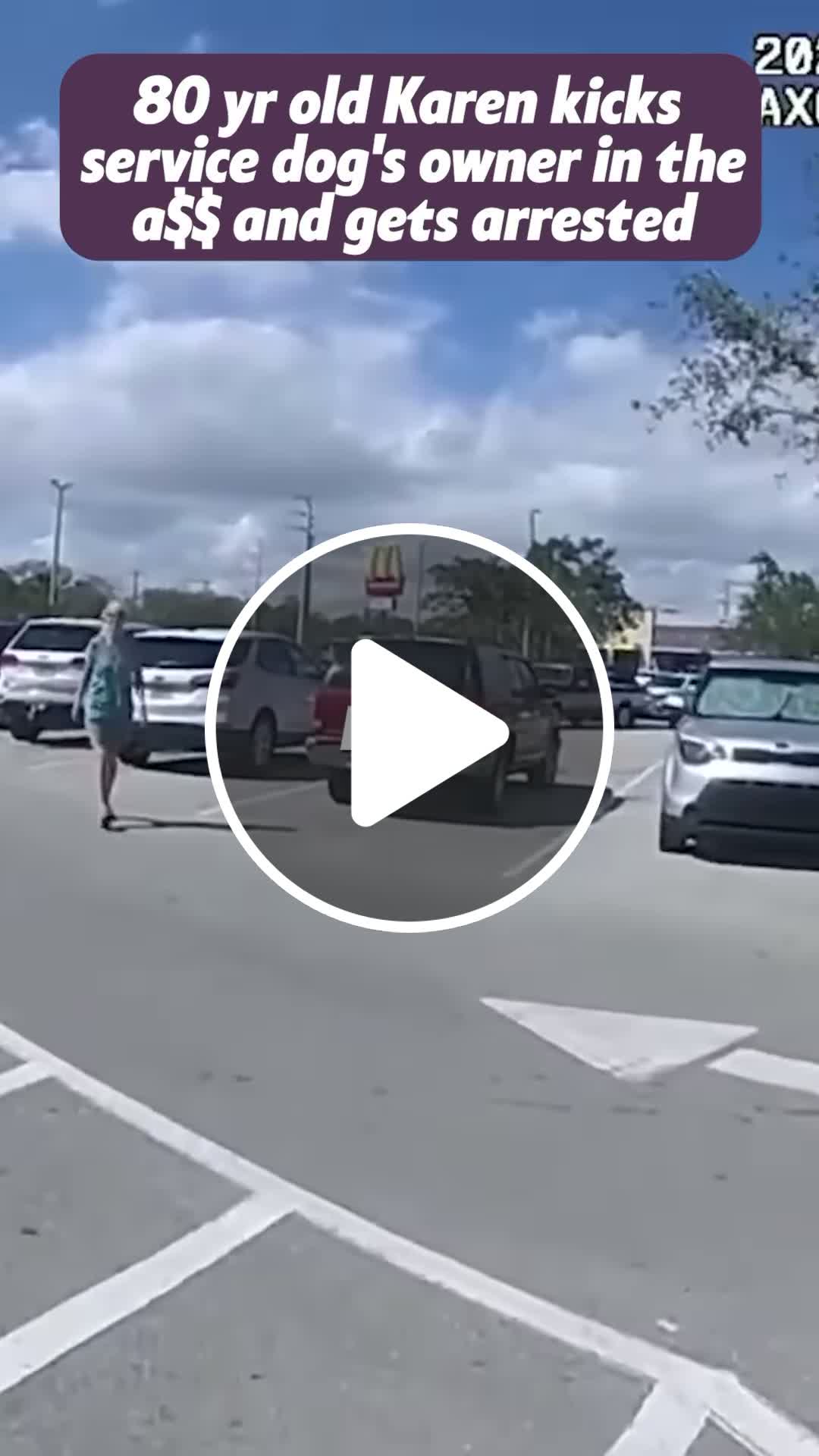 80-year-old Karen ARRESTED for kicking police dog owner Full clip on ...