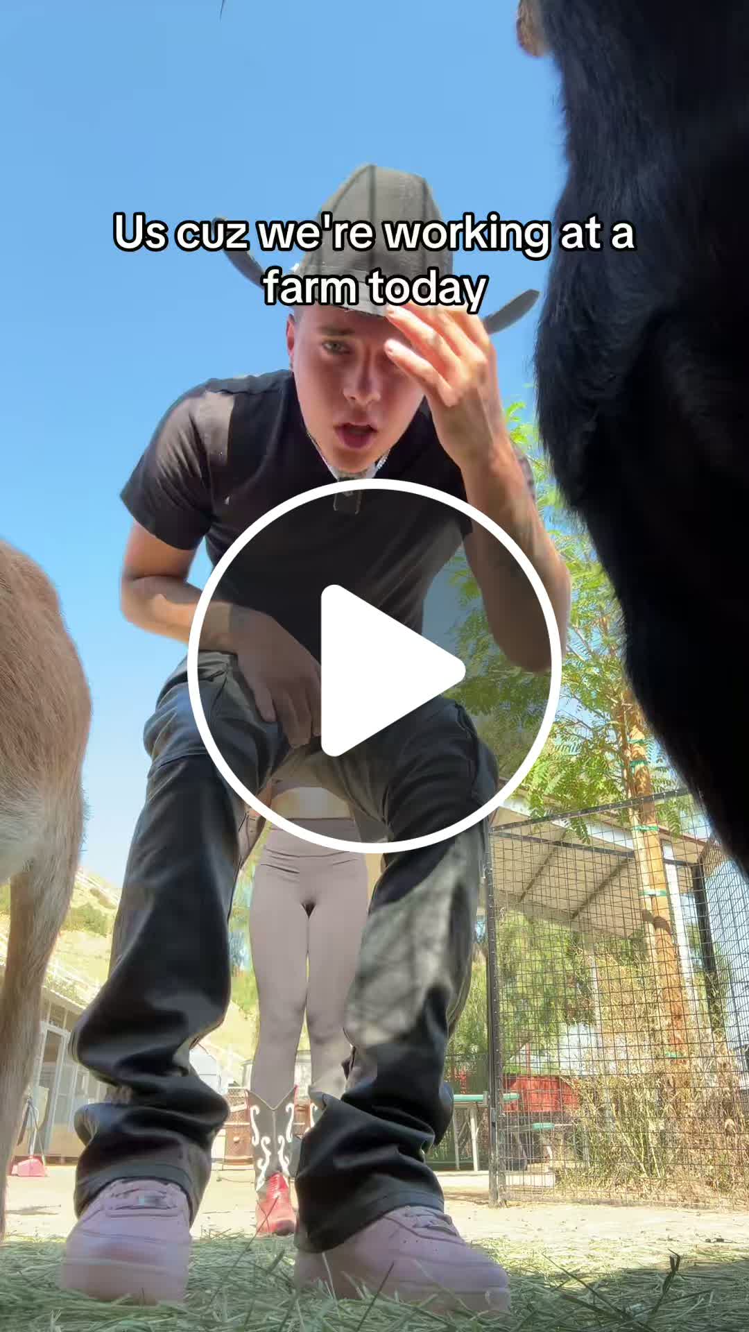 the animals wanted the spotlight 😂 @🎀Piper Rockelle🎀 #fyp #blowthisup # ...