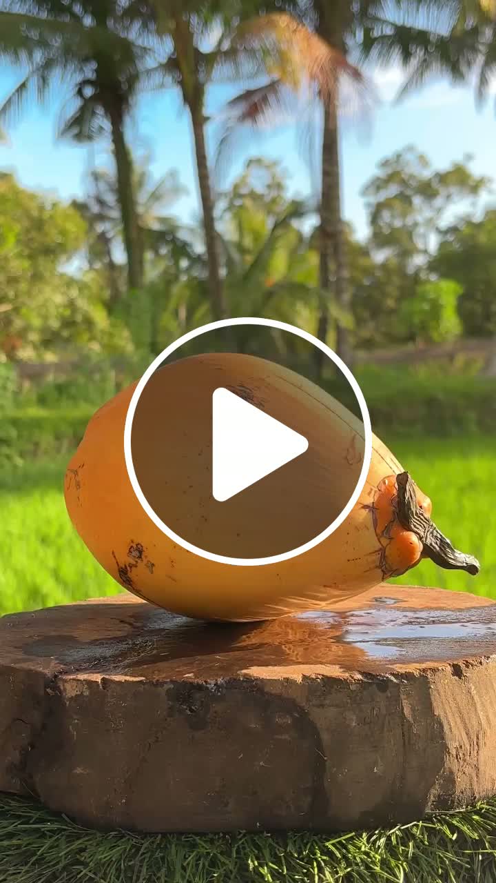 Venezuela Raid Briefing Erupts After Viral Post Says Trump Is “Falling ...