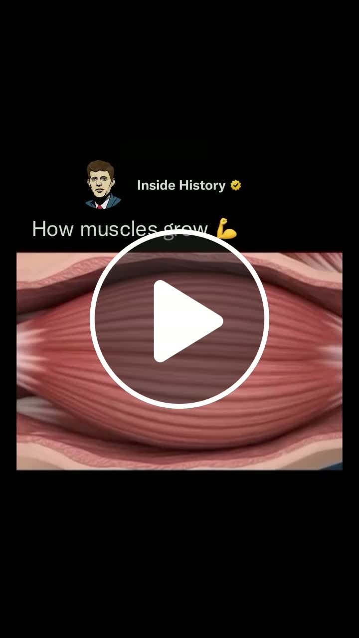 #UnpopularOpinion Muscle growth happens through a process called hypertrophy, which occurs when ...