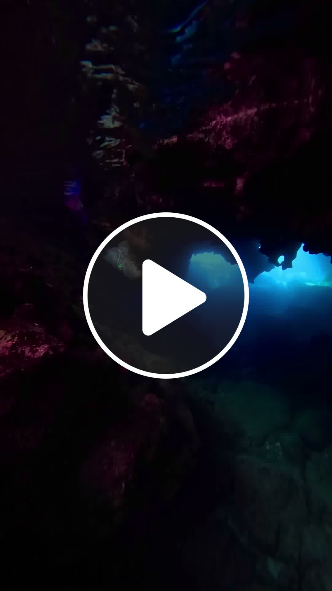 Cave feature for feral girls 🖤 #underwater #freediver #freediving ...