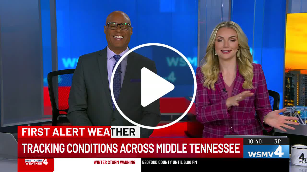 Tree crashes onto car in Cool Springs - NewsBreak