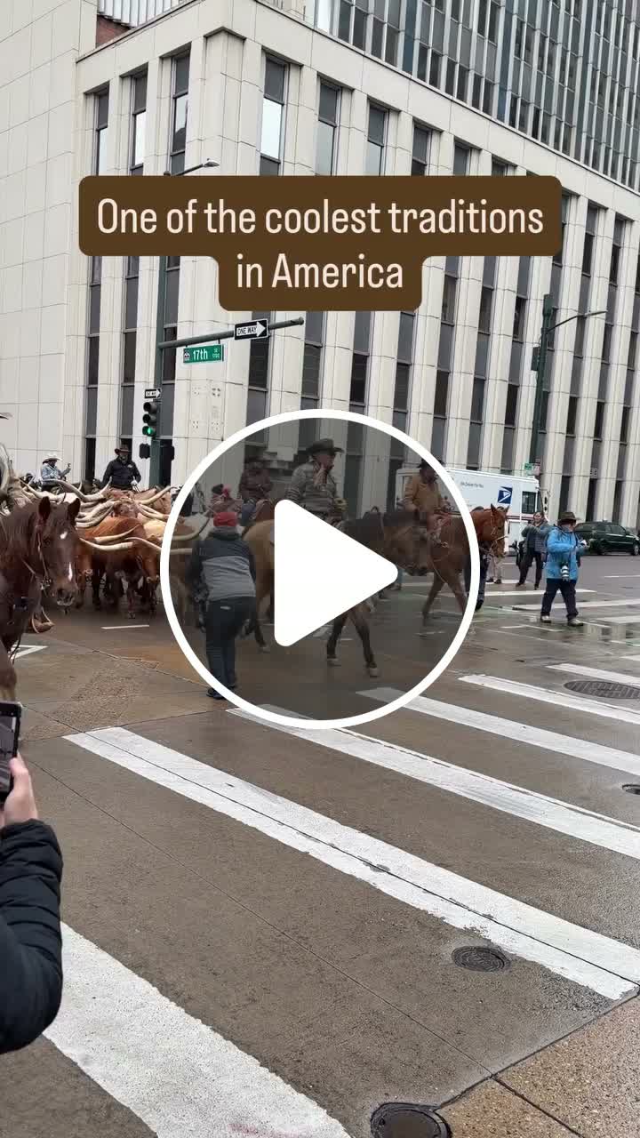 Scenes from the Stock Show Parade🤠 - NewsBreak