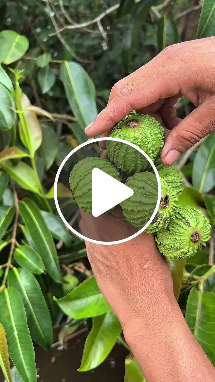 Charleston church hosts birthday party for Jesus as a way to give back ...