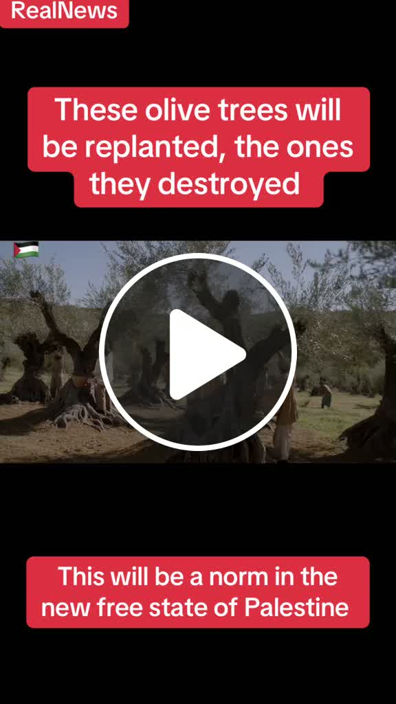 For every one tree what the settlers destroyed, they will plant 5 more ...
