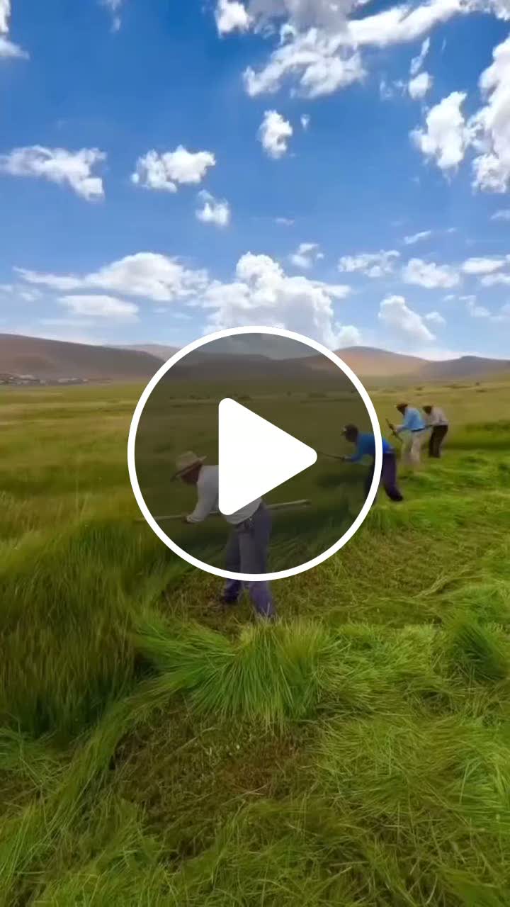 ##nature number one therapy. - NewsBreak