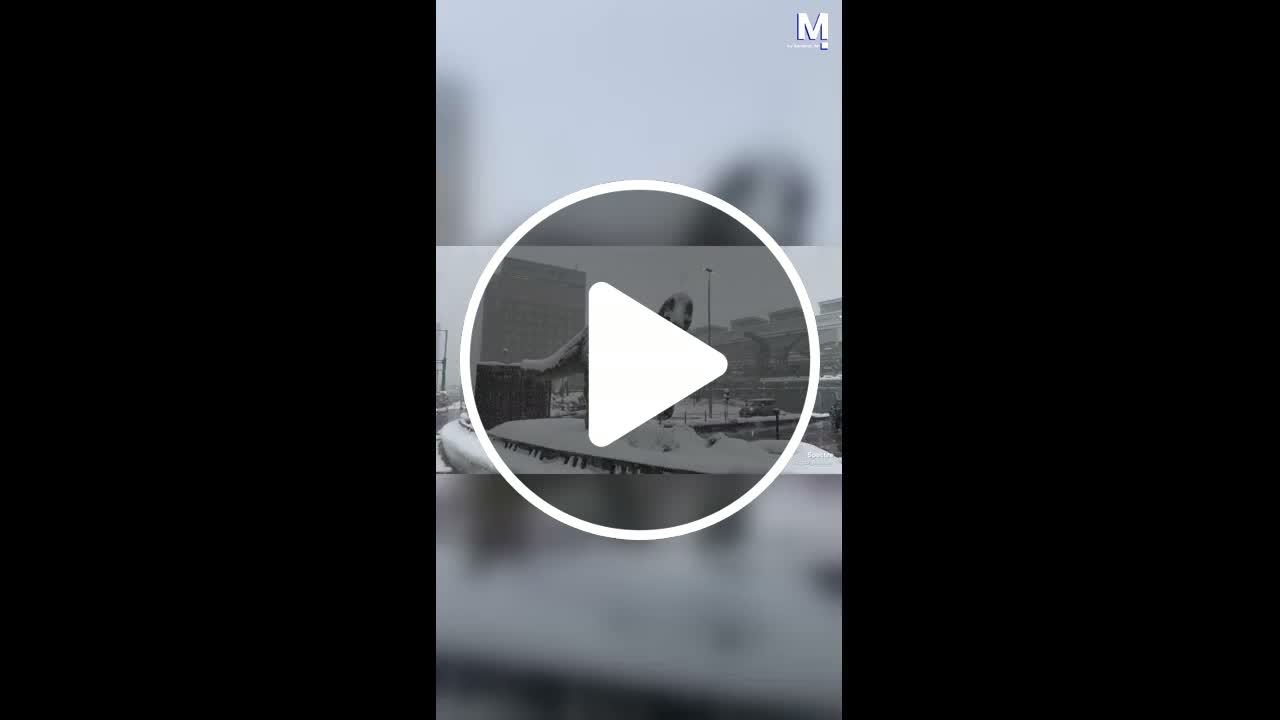 Return to the Ice Age? Robotic dinosaurs brave a snowstorm in Japan ...